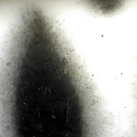 6" Shad Minnow Tiger Bait (6SM) – Action Plastics - Soft Plastic Lure ...